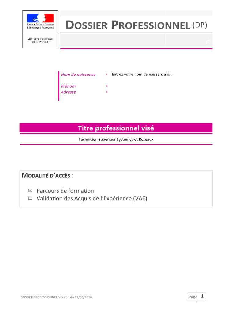 Dossier Professionnel VERSION FINALE SERIR TSSR | PDF | Serveur ...