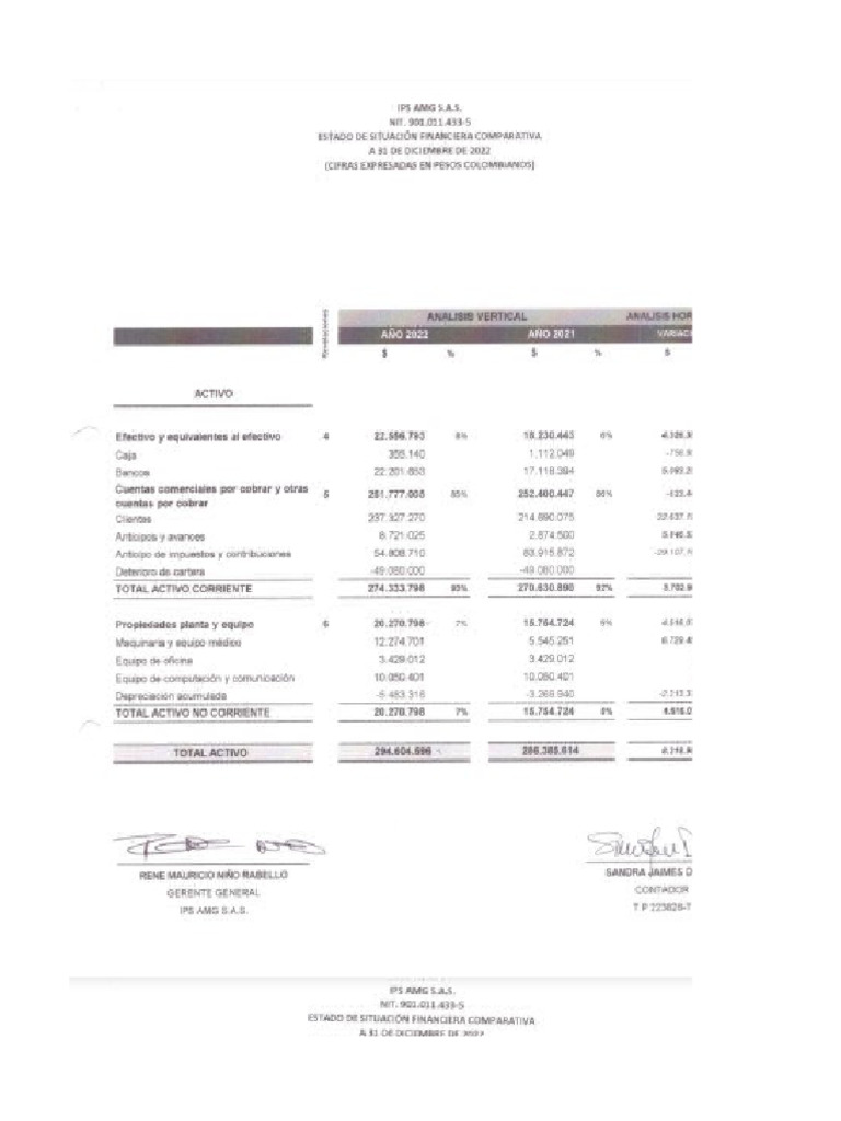 Auditoría Estado Financiero IPS AMG SAS | PDF | Auditoría | Contabilidad