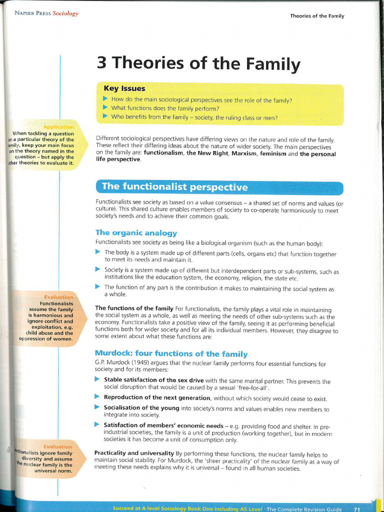 3.3 Families Theories of The Family | PDF