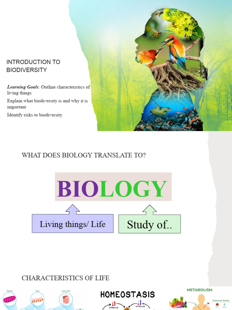 Introduction To Biodiversity | PDF | Ecosystem | Biodiversity