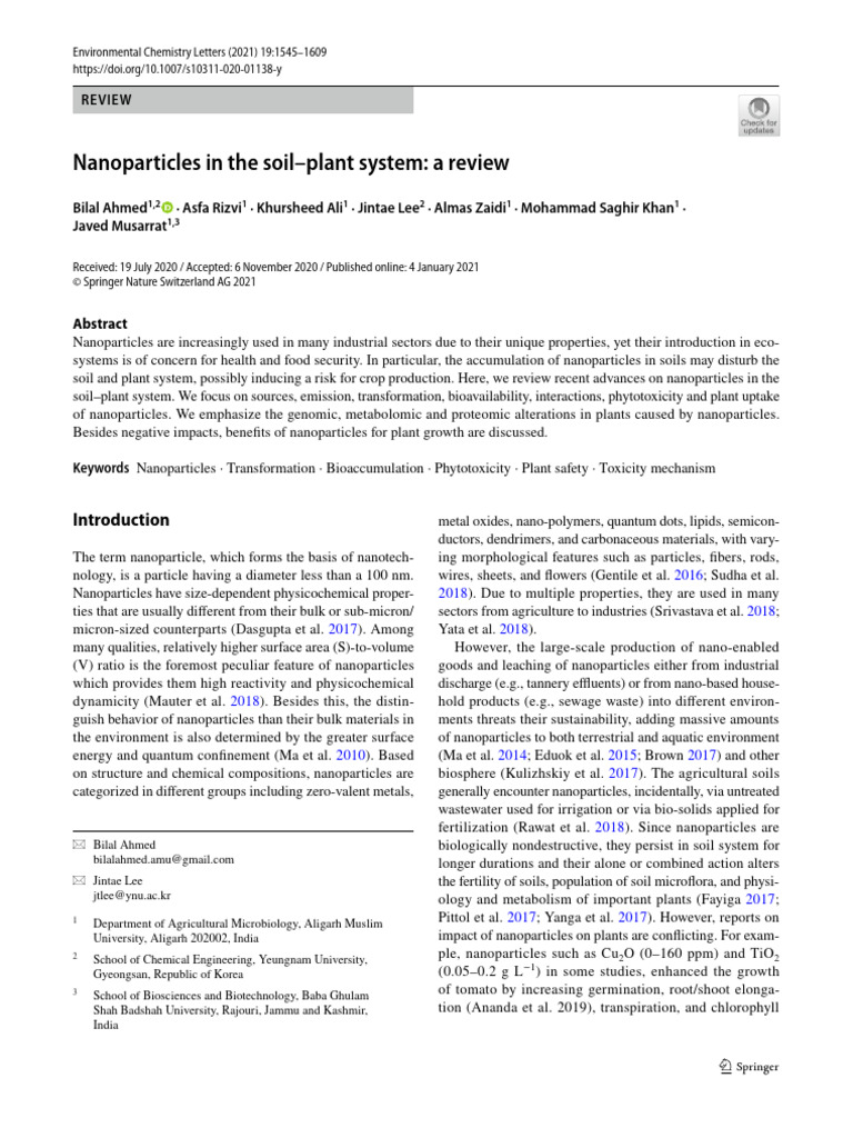 Nano Particles | PDF | Nanoparticle | Soil
