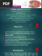 Non-Obstructing Nephrolithiasis Overview | PDF | Kidney | Medicine