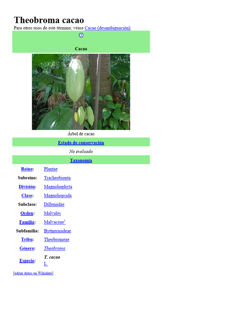 CACAO - Theobroma Cacao - Chocolate | PDF | Chocolate