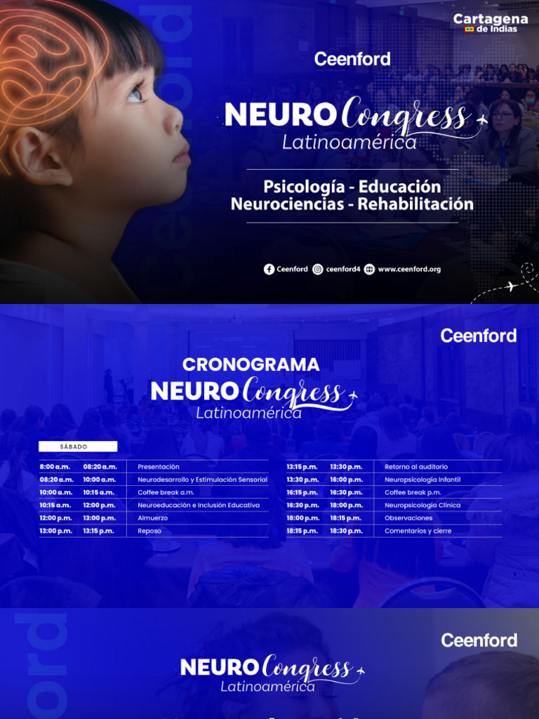 Neuroeducación: Estrategias Inclusivas Efectivas | PDF | Aprendizaje ...