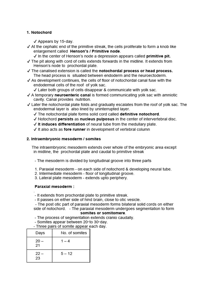 Embryology Charts Notes | PDF | Ventricle (Heart) | Heart Valve