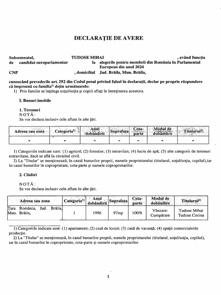 Tudose Mihai DA | PDF