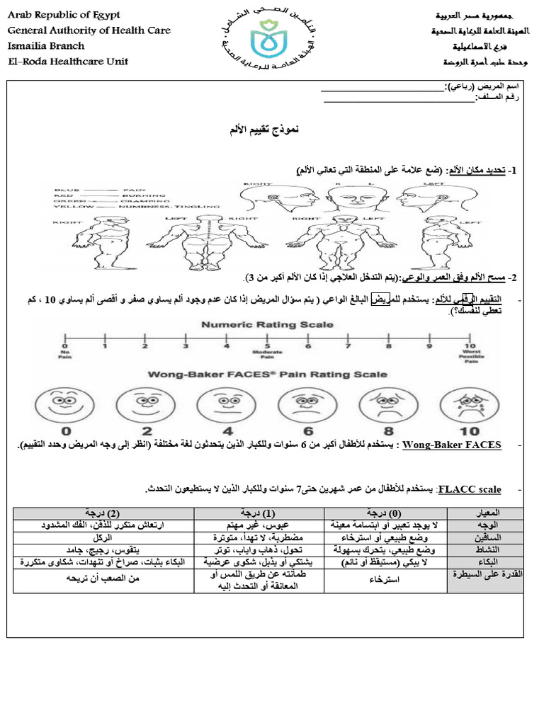 4.G - Pain Management Sheet | PDF