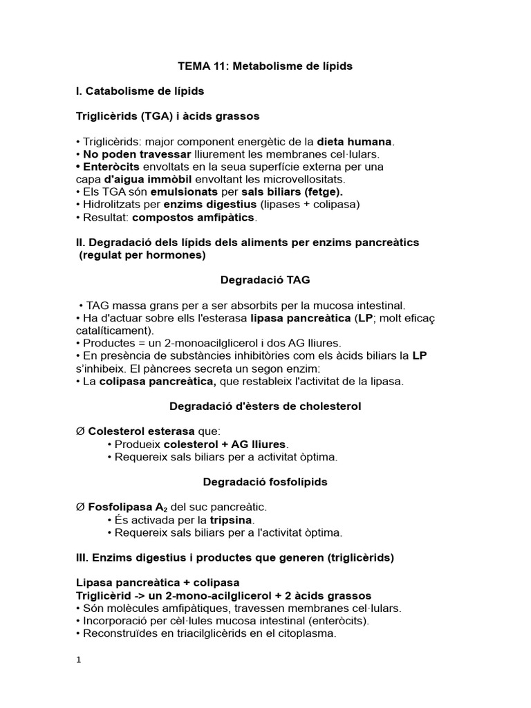 Unitat 2 Bioquímica Meta3 | PDF