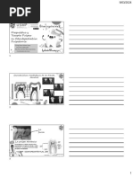 Oclusion Fosa Cuspide | PDF | Anatomia dental | Diente