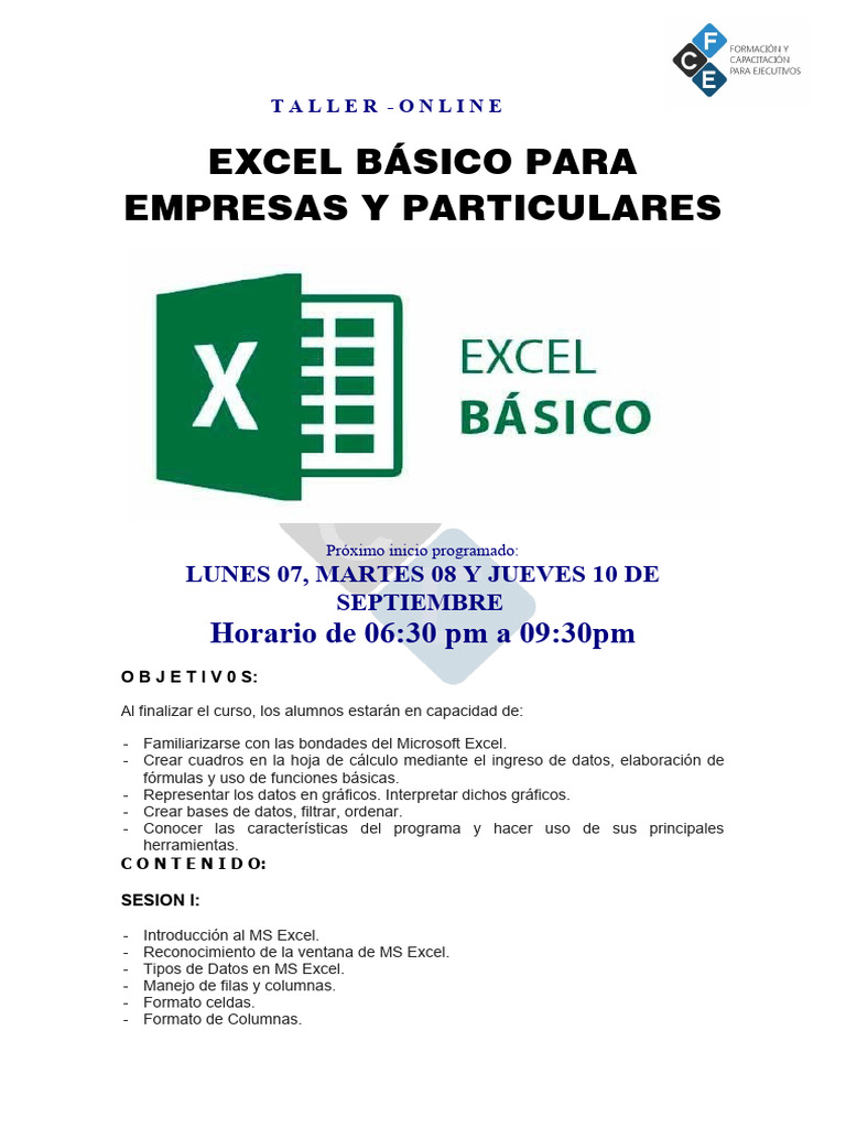 Presentación Taller Online Excel Basico | PDF | Microsoft Excel | Hoja de cálculo