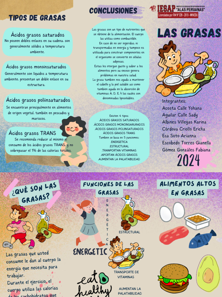 Tipos y funciones de las grasas saludables | PDF | gordo | Ácido graso