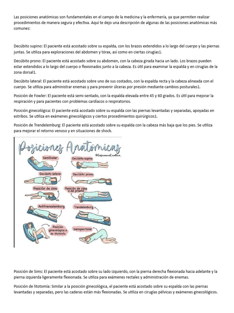 Las Posiciones Anatómicas Son Fundamentales en El Campo de La Medicina y La Enfermería | PDF ...