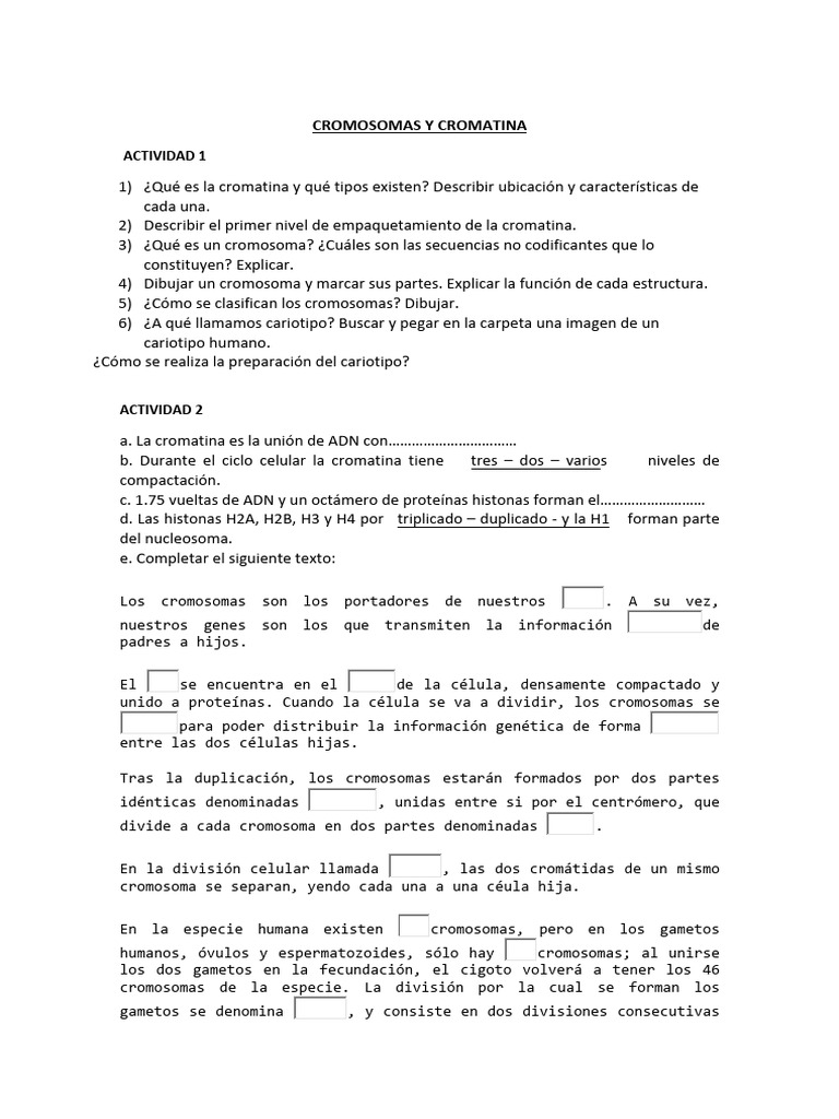 Actividad CROMOSOMAS Y CROMATINA | PDF | Cromosoma | Cromatina