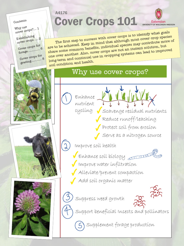 Benefits and Establishment of Cover Crops | PDF | Cereals | Rye