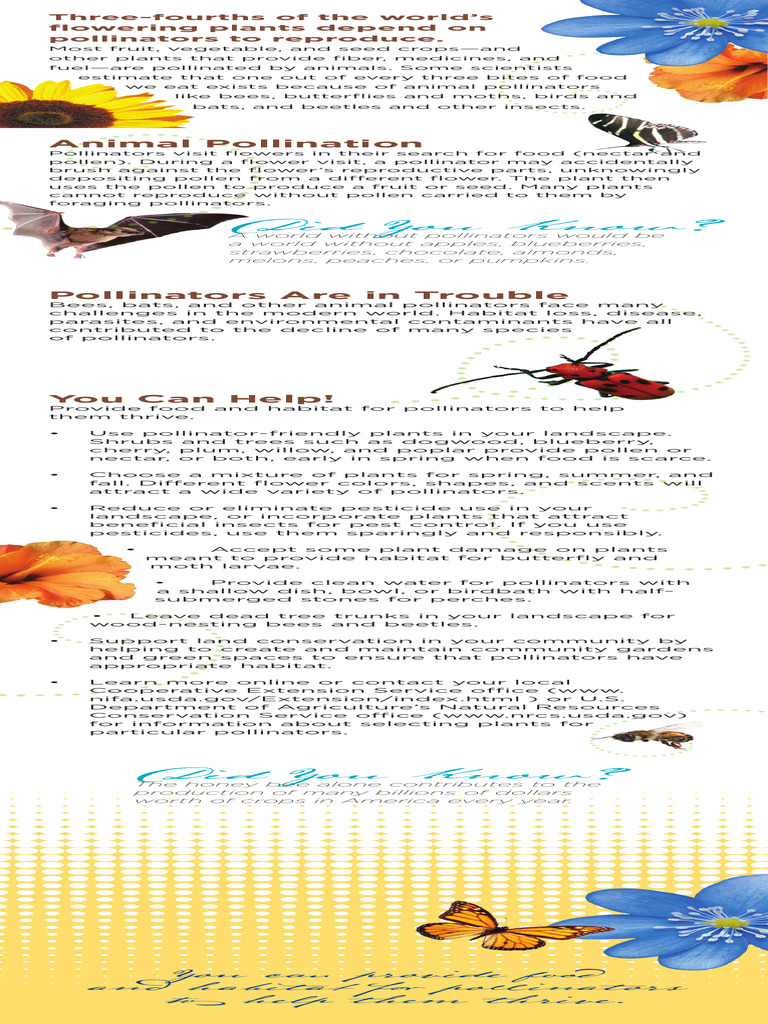 11 - 849 - 13034 - I - Could - Get - Some - of - These - To - Handout ...