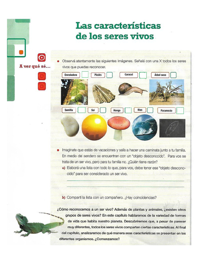 Caracteristicas de Los Seres Vivos | PDF