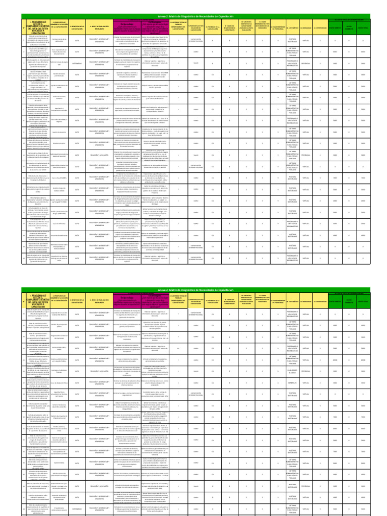 Anexo 2 Matriz - DNC | PDF | Contabilidad | Planificación