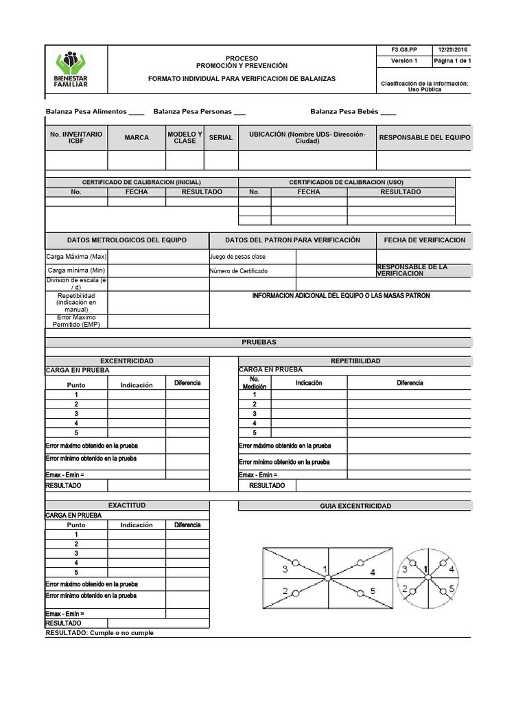 f3 g8 PP Formato Individual para Verificacion de Balanzas v1 | PDF | Informática