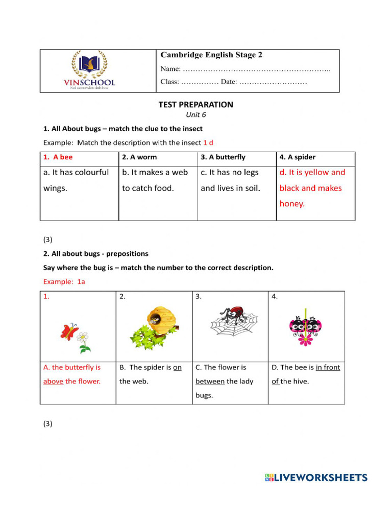 Unit 6 Cambridge Level 2 Practice Test | PDF