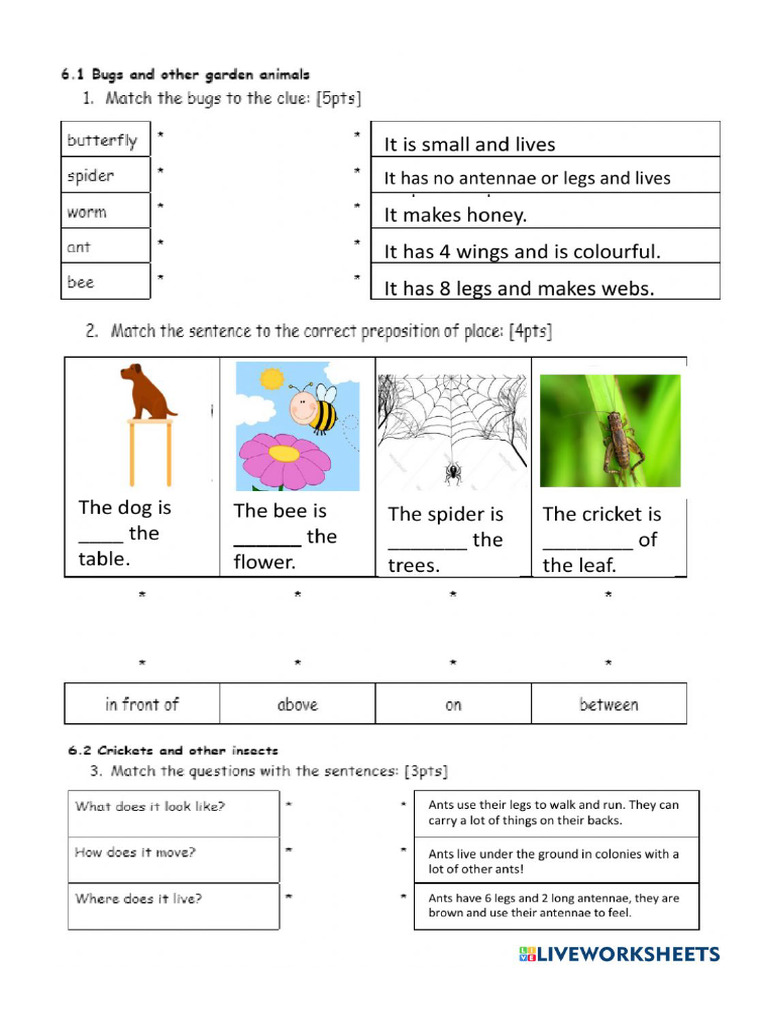 Practice Test ESL Unit 6 | PDF