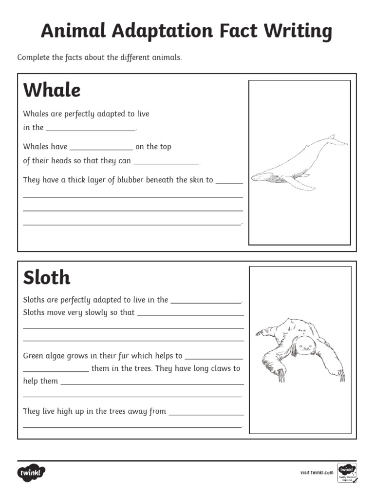 Us2 s 194 Animal Adaptation Fact Writing Activity Sheets English Ver 4 ...