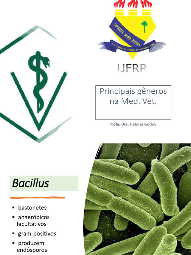 Gêneros Bacterianos em Medicina Veterinária | PDF | Mycobacterium ...