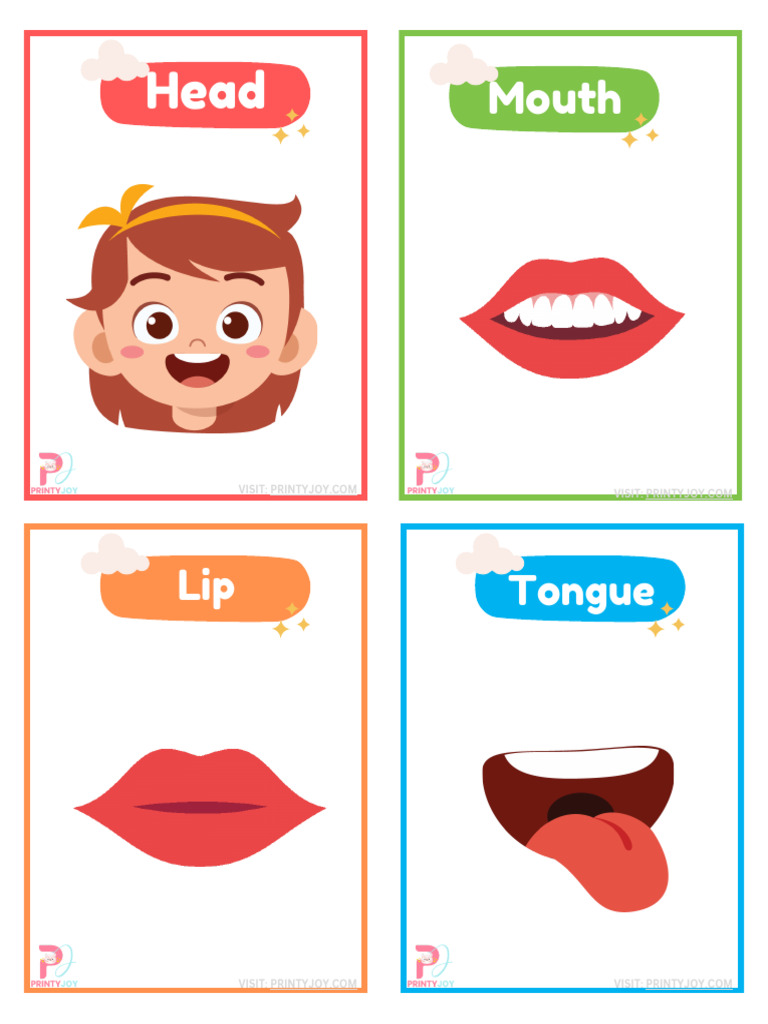 Body Parts Flashcards Printable Free | PDF