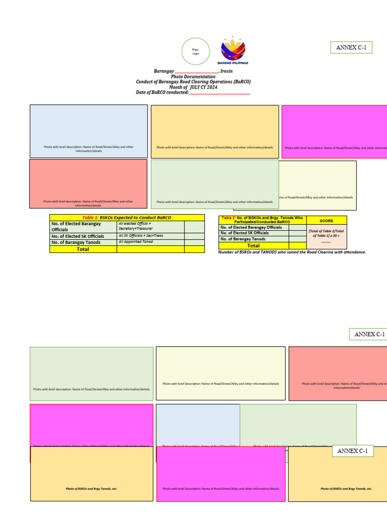 BARCO Anex C 1 | PDF