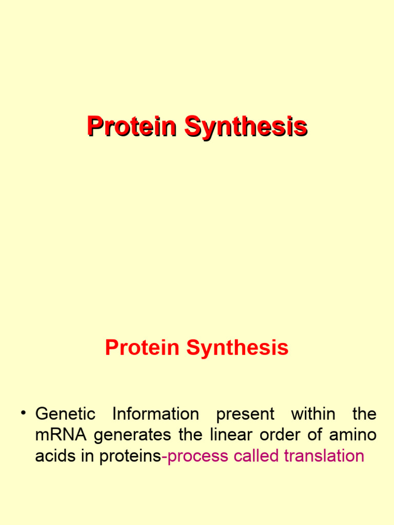 Protein Synthesis | PDF | Translation (Biology) | Ribosome
