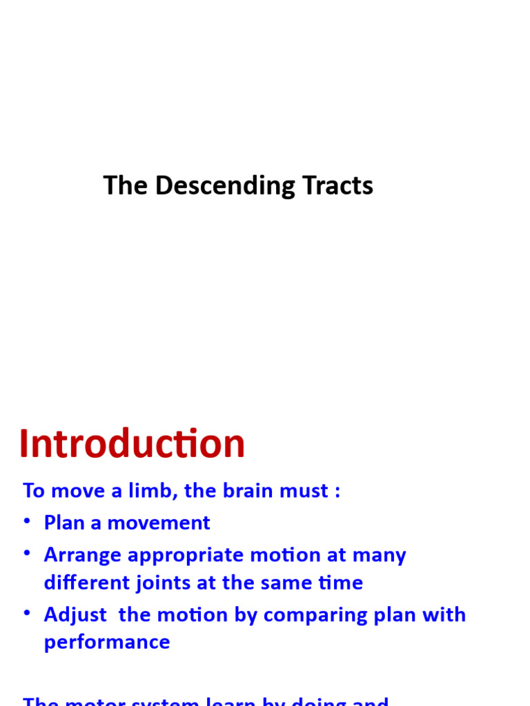 The Descending Tracts | PDF | Nervous System | Neuroanatomy