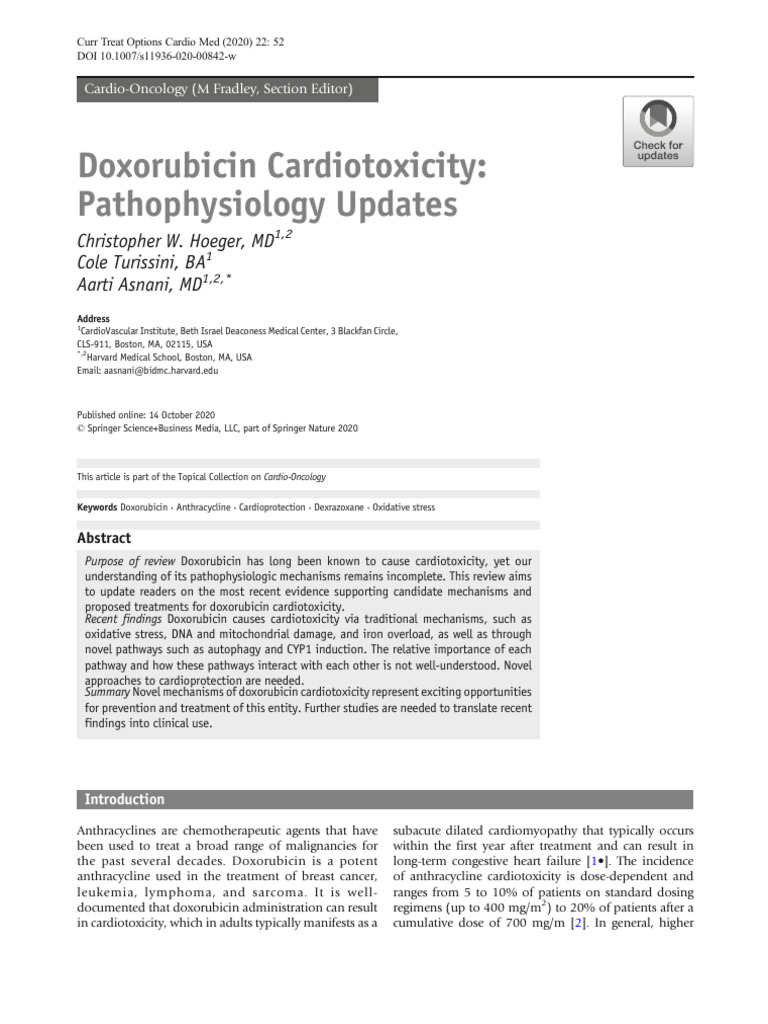 2020-Hoeger Et Al-Doxorubicin Cardiotoxic Patofis | PDF | Apoptosis | P53