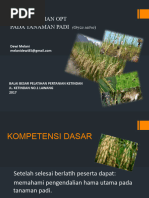 Pengendalian Hama Wereng Coklat | PDF