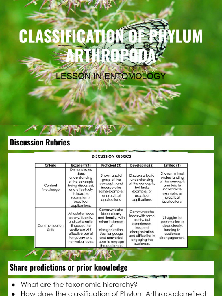 Arthropod Classification Guide | PDF | Hexapoda | Crustacean