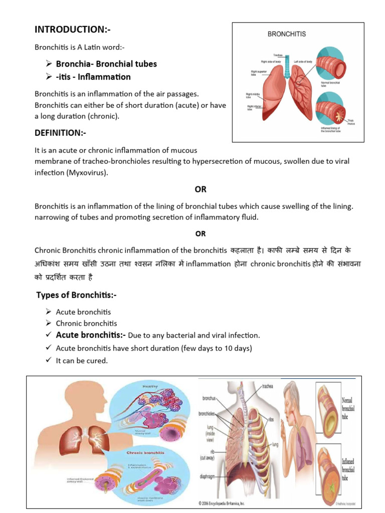 Bronchitis | PDF | Respiratory Diseases | Medical Specialties