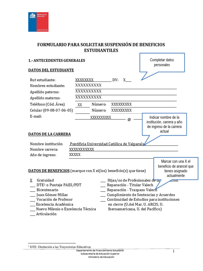 Ejemplo de Llenado Del Formulario | PDF