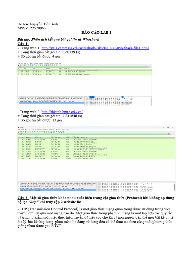 NguyenTienAnh Lab1 | PDF