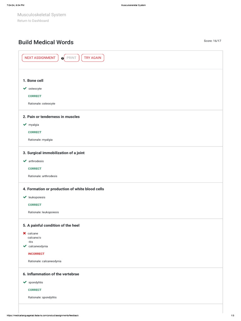 Musculoskeletal System Pdf Bone Human Musculoskeletal System
