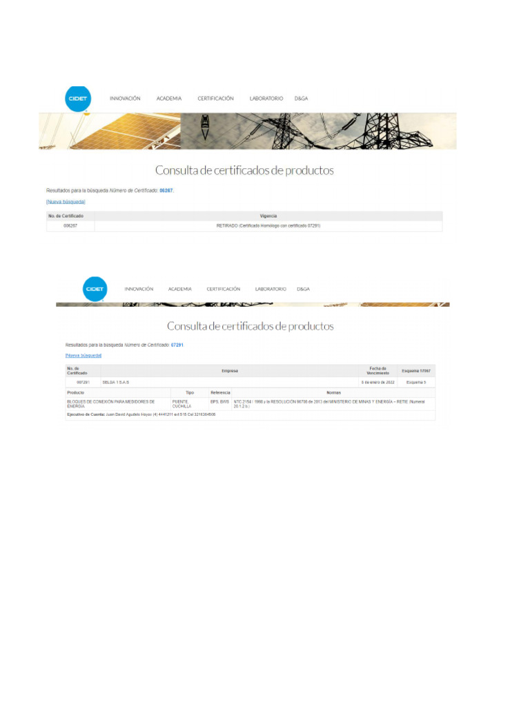 Cidet 2019-2022 Consulta | PDF