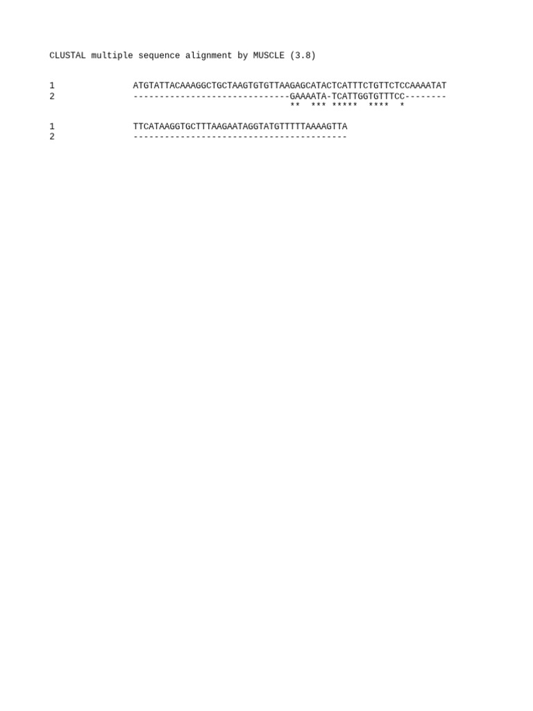 Muscle I20240630 004107 0413 29258145 P1m.aln Clustalw | PDF