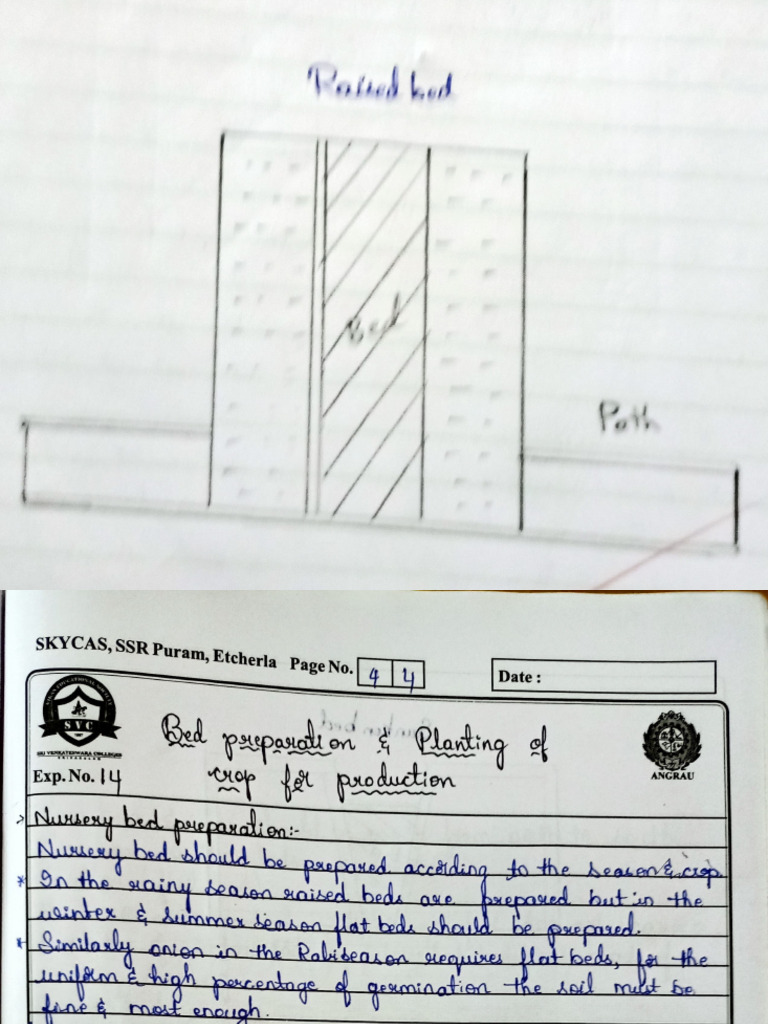 Elct Experiment 10 | PDF