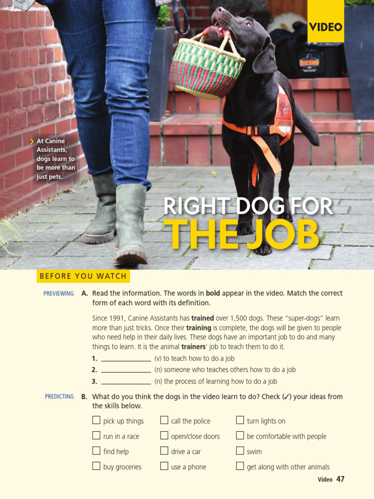 REF - Unit 3view | PDF | Dogs