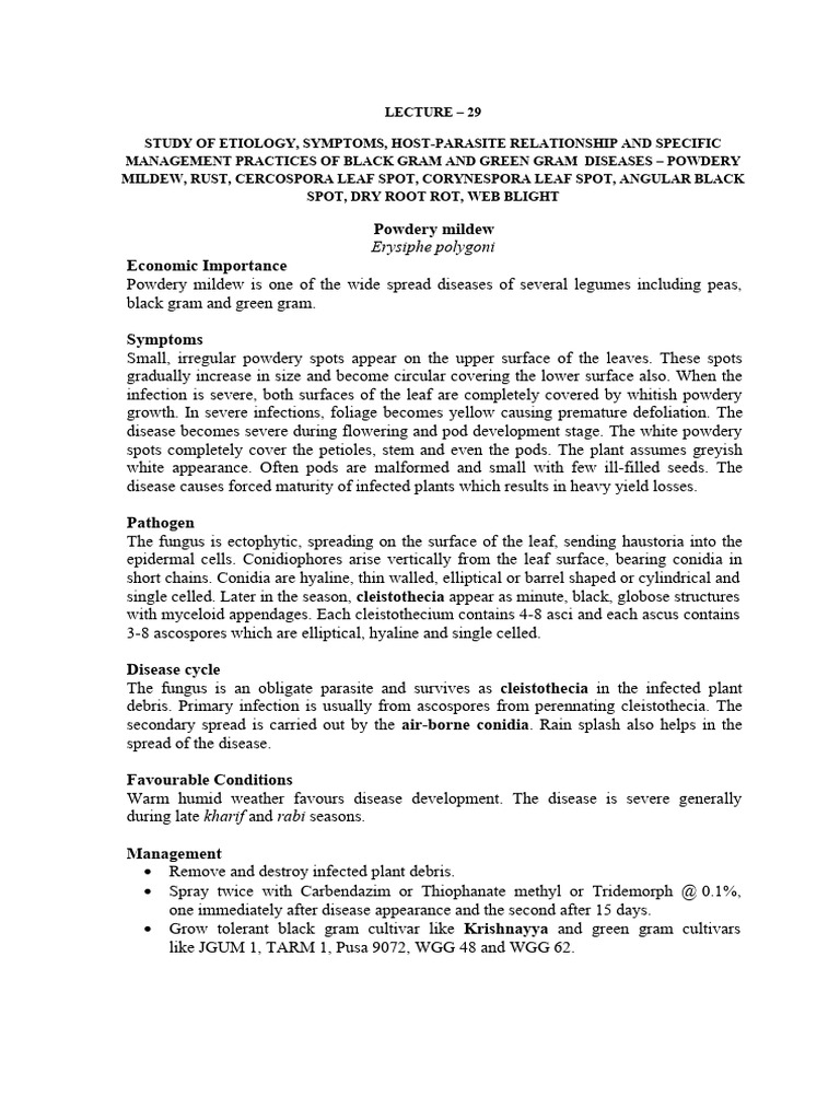 Lecture 29 | PDF | Legume | Leaf