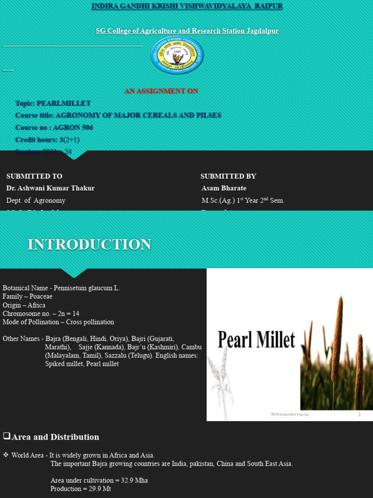 Asam Cereal Crop Pearl Millet | PDF | Sowing | Soil