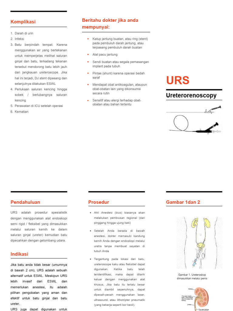 Komplikasi dan Prosedur URS Batu Ginjal | PDF | Sains & Matematika