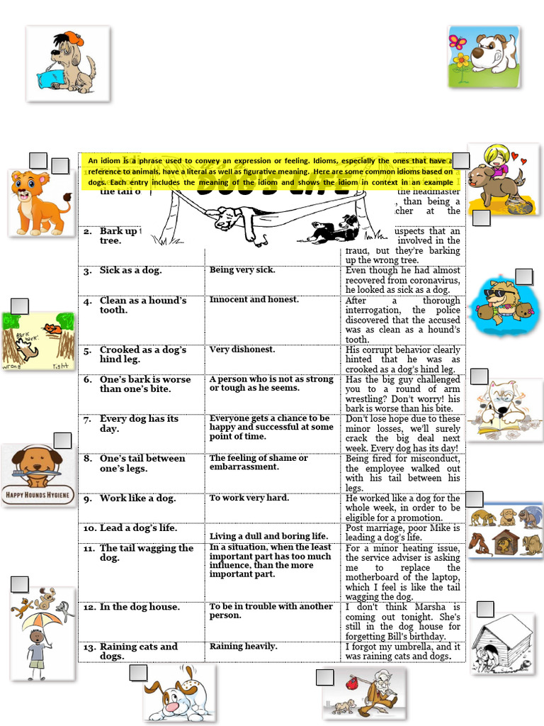 A Dog S Life - Idioms With Dog Worksheet | PDF