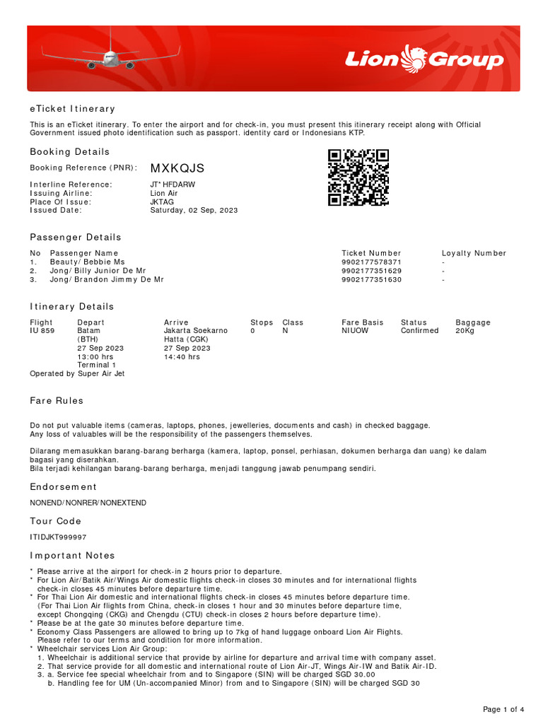 Eticket Lion BTH-JKT | PDF