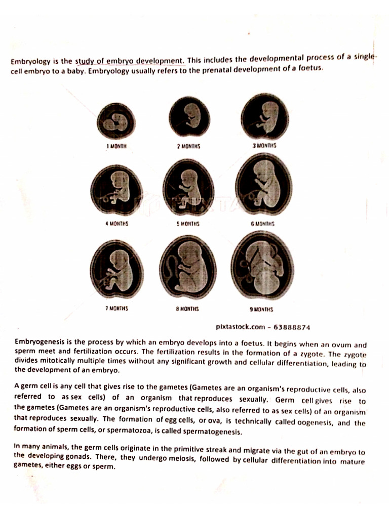 Embryology Note Pdf