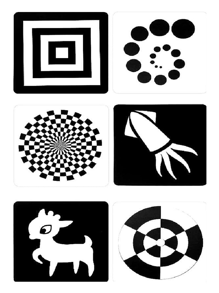 Sensory Pix BNW | PDF