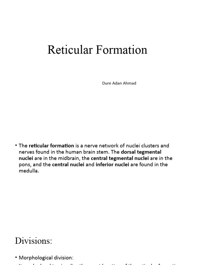 Overview of Reticular Formation Functions | PDF | Science & Mathematics