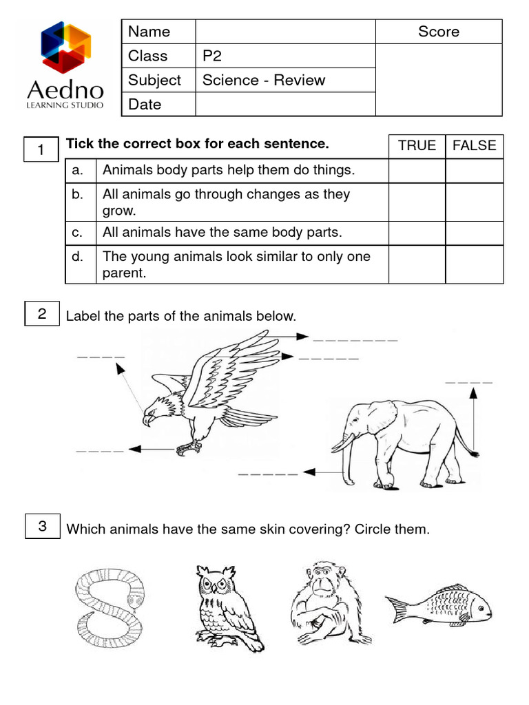 TEST p2 Science 2 | PDF | Tooth | Zoology